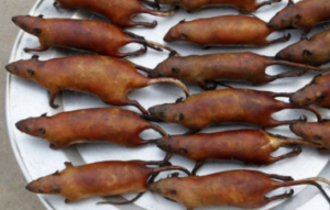 Gross Foods: Top 20 Most Disgusting Foods in the World - Webbspy